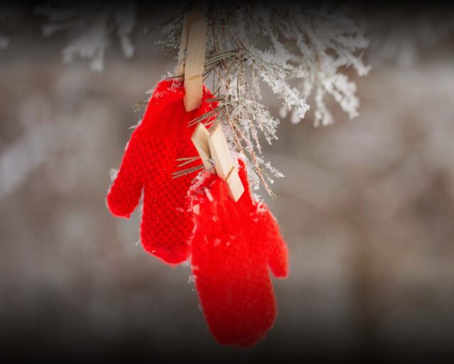 MITTEN TREE DAY - December 6, 2023 - National Today