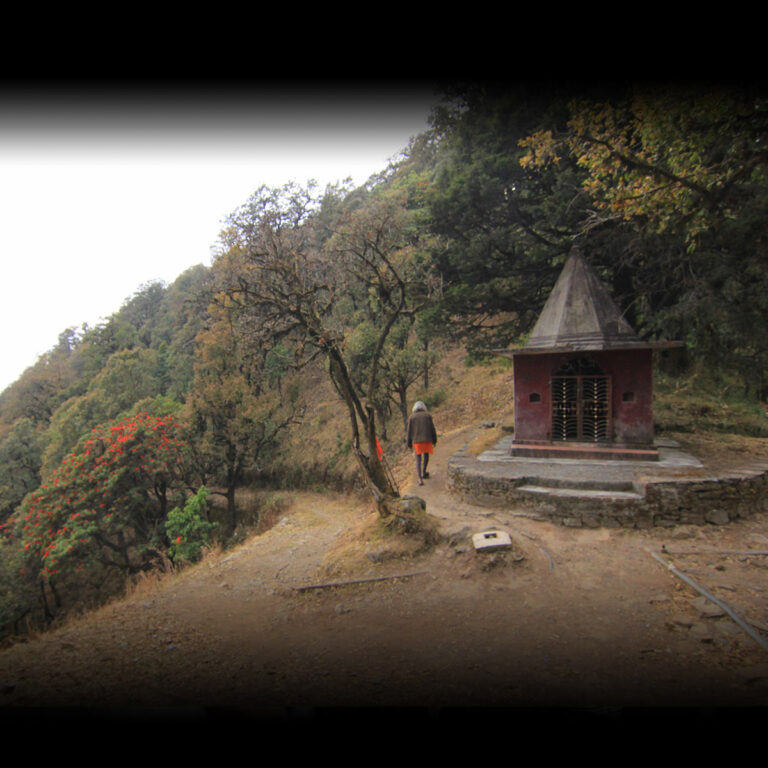 National Internet Day — What it is and How to Celebrate