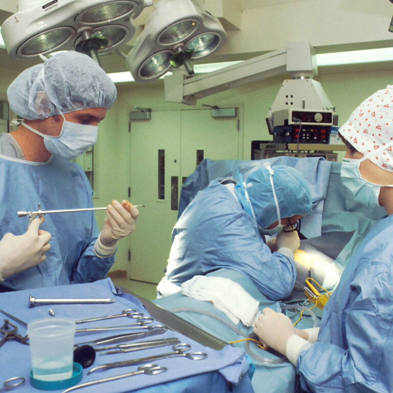 SIGD DAY - November 8, 2026 - National Today