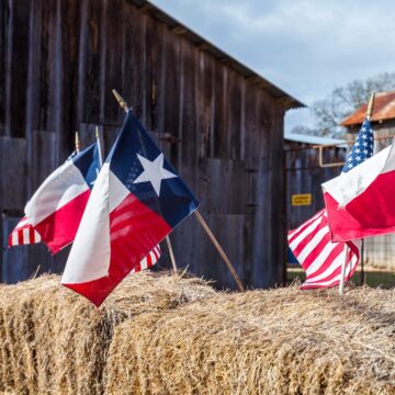 NATIONAL MICHIGAN DAY - January 18, 2027 - National Today