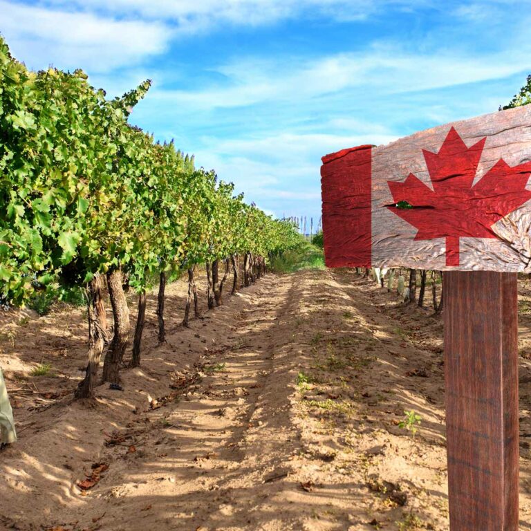 NATIONAL CHEDDAR DAY - February 13, 2025 - National Today