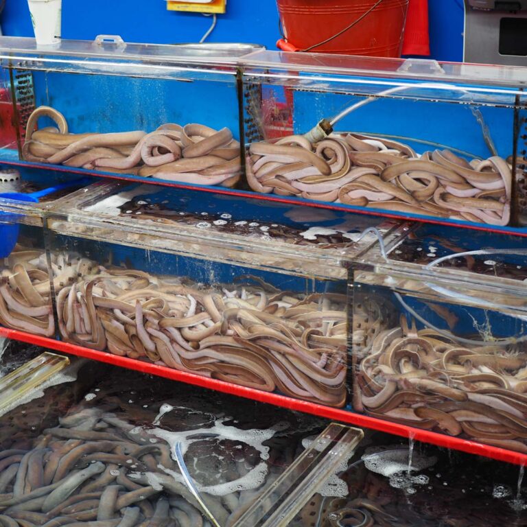 NATIONAL GROUCH DAY - October 15, 2025 - National Today