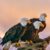 BIG GARDEN BIRDWATCH - January 29, 2027 - National Today