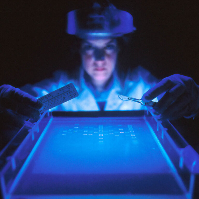 KYOTO PROTOCOL DAY - February 16, 2026 - National Today