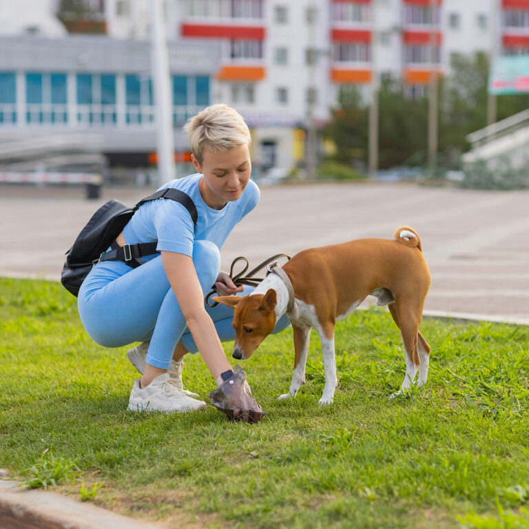 LIBRARY SNAP SHOT DAY - April 1, 2026 - National Today