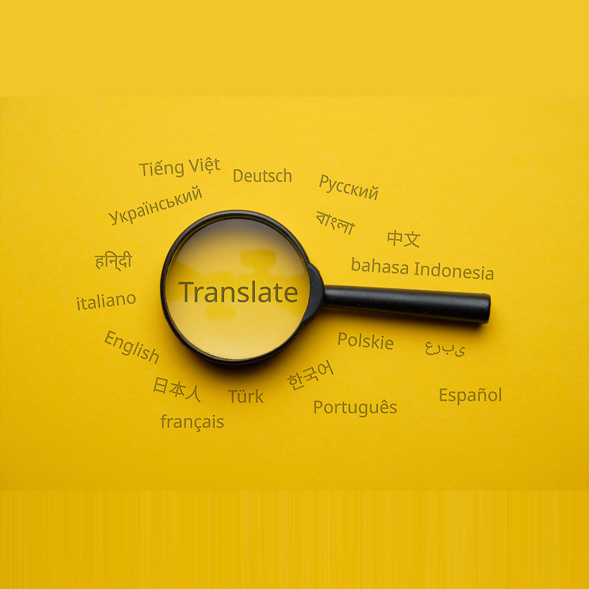 INTERNATIONAL TRANSLATION DAY September 30 2023 National Today INTERNATIONAL TRANSLATION DAY September 30 2023 National Today