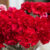NATIONAL CARNATION DAY - January 29, 2026 - National Today