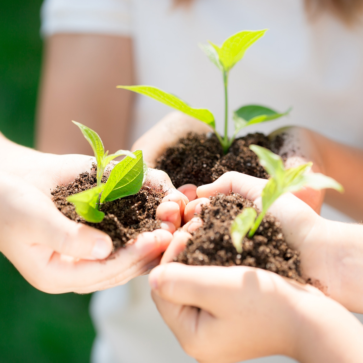 WORLD POLLUTION PREVENTION DAY December 2 2022 National Today WORLD POLLUTION PREVENTION DAY December 2 2022 National Today