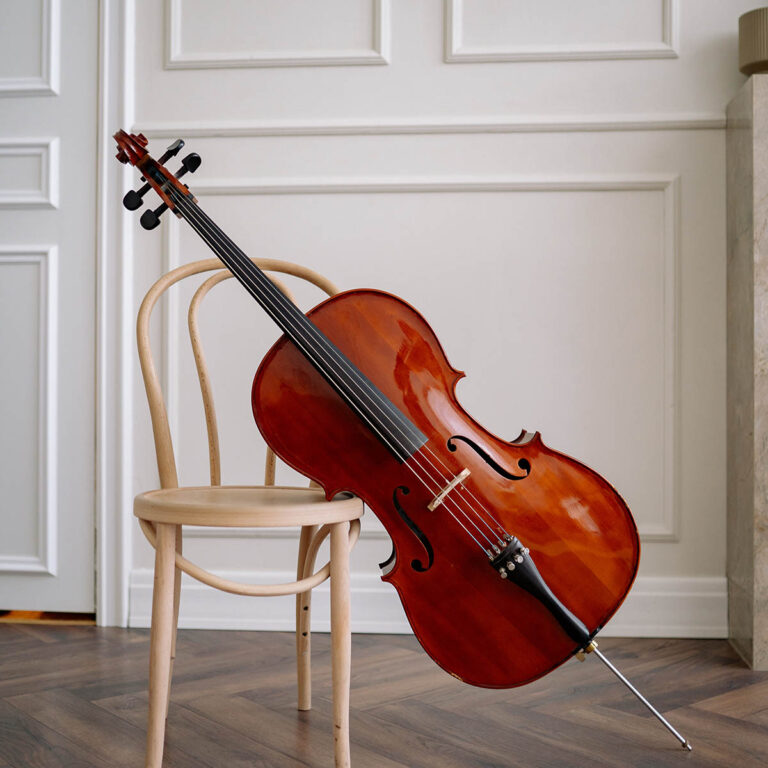 INTERNATIONAL CELLO DAY - December 29, 2026 - National Today