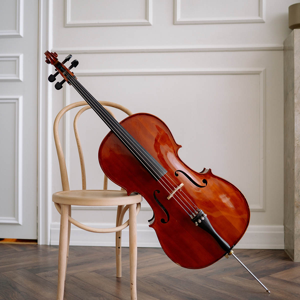 INTERNATIONAL CELLO DAY December 29 2022 National Today