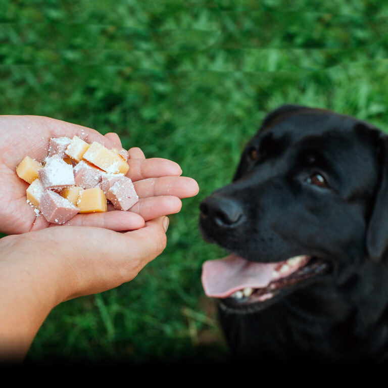 NATIONAL SHOE THE WORLD DAY - March 15, 2026 - National Today