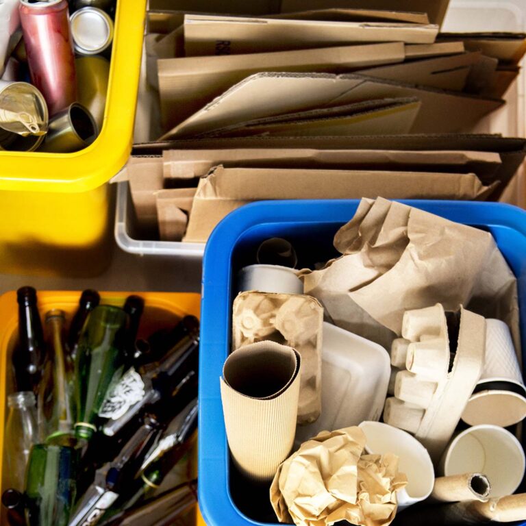 NATIONAL RECYCLING WEEK - November 9-15, 2026 - National Today