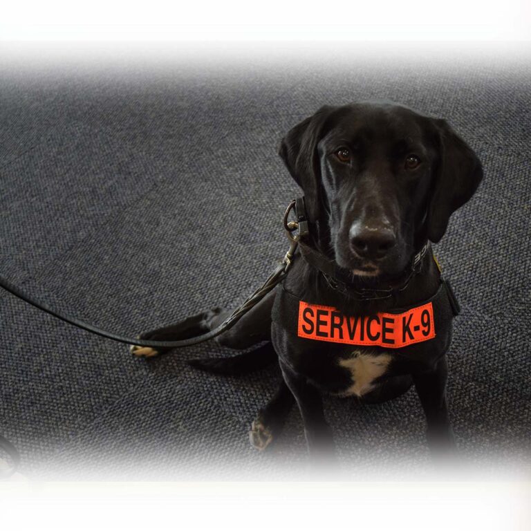 NATIONAL SURGICAL ONCOLOGIST DAY - August 22, 2026 - National Today