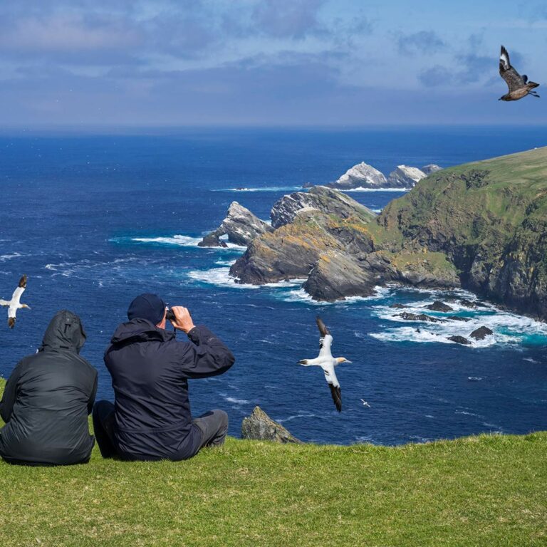 January 23 | Holidays, Birthdays, Events