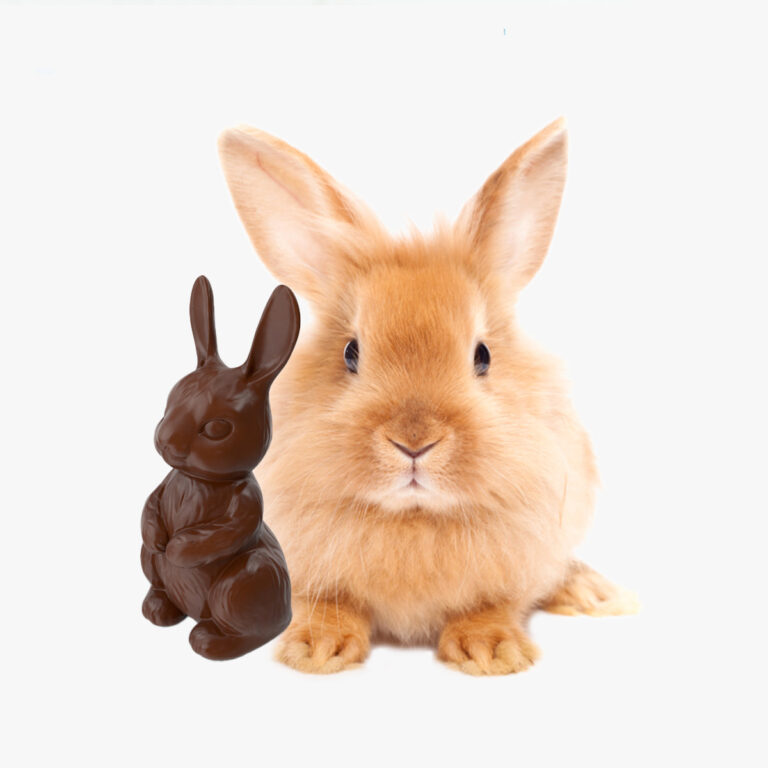 FASTELAVN - February 15, 2026 - National Today