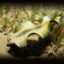 NEDA WEEK - February 23-27, 2026 - National Today