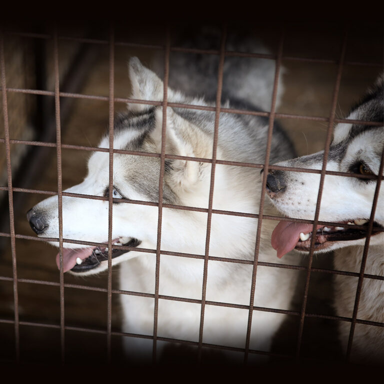 DO A GROUCH A FAVOR DAY - February 16, 2025 - National Today