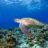 SEA WEEK - February 28 - March 8, 2026 - National Today