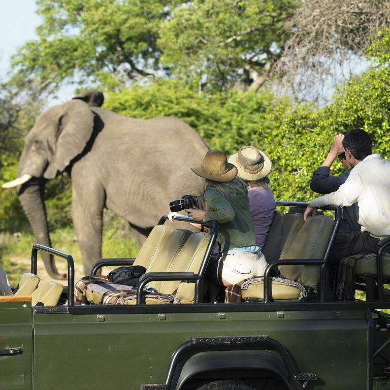 PLUTO DAY - February 18, 2025 - National Today