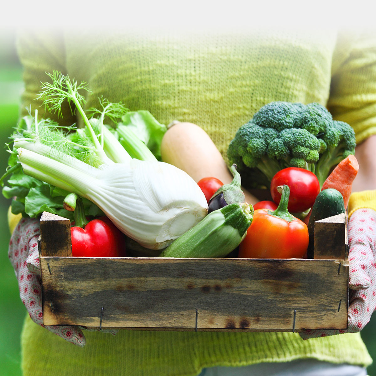 VEGGIE MONTH -March 2023 - National Today