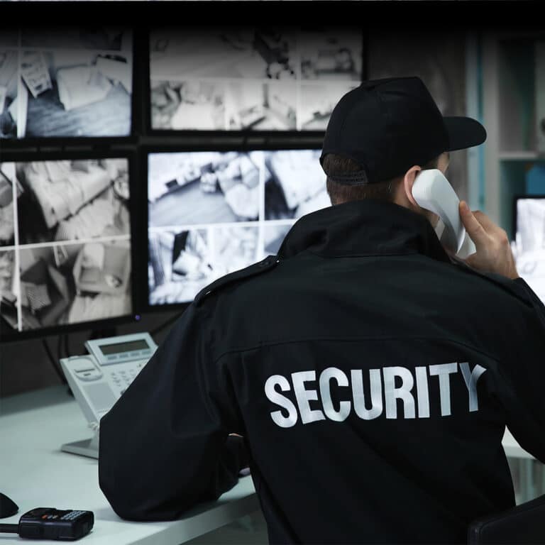 NATIONAL PET ROCK DAY - September 1, 2024 - National Today