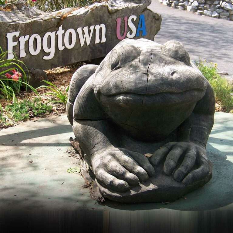 FROG JUMPING JUBILEE DAY - May 19, 2026 - National Today