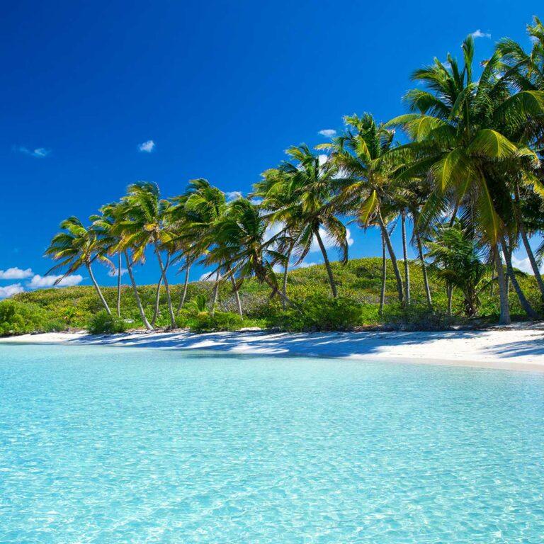 RABBIT WEEK - June 29 - July 6, 2026 - National Today