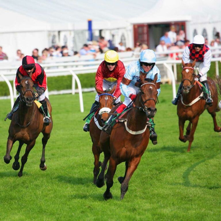 PYGMY HIPPO DAY - April 8, 2026 - National Today