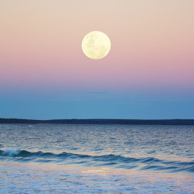 July 29 Holidays & Observances | National Today