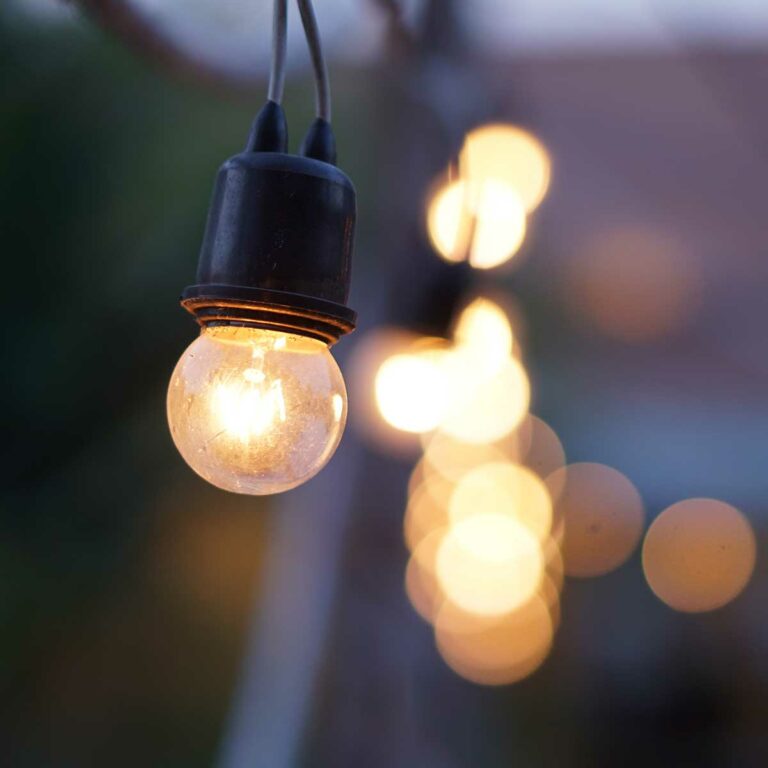 NATIONAL SEA MONKEY DAY - May 16, 2026 - National Today