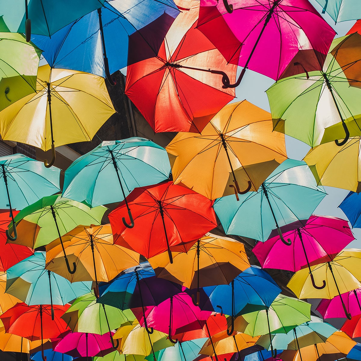 AGITÁGUEDA -July 2023 - National Today