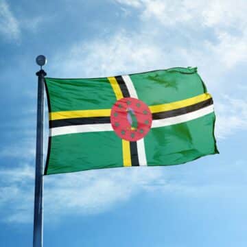 National Homemaker Day - What is it? Why do we celebrate?