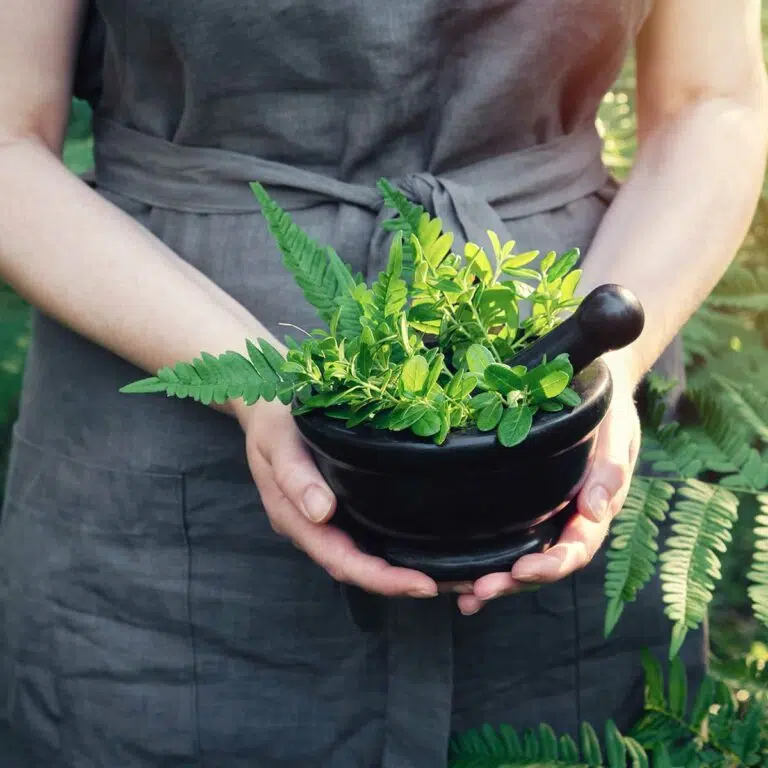 PLANT POWER DAY - March 7, 2026 - National Today