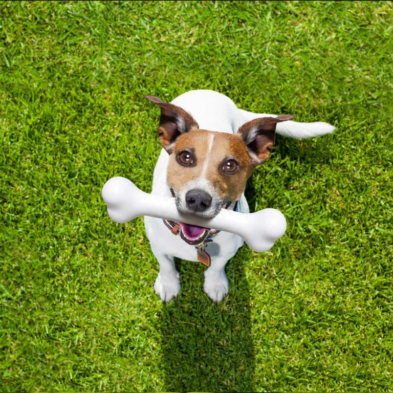 PSYCHIC DAY - August 2, 2026 - National Today