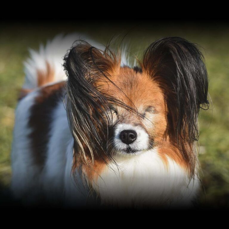 FIND YOUR INNER NERD DAY - August 23, 2024 - National Today