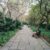 LOVE PARKS WEEK - July 24-31, 2026 - National Today