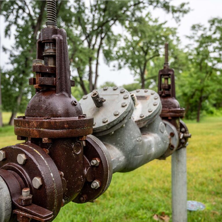 August 16 | Holidays, Birthdays, Events