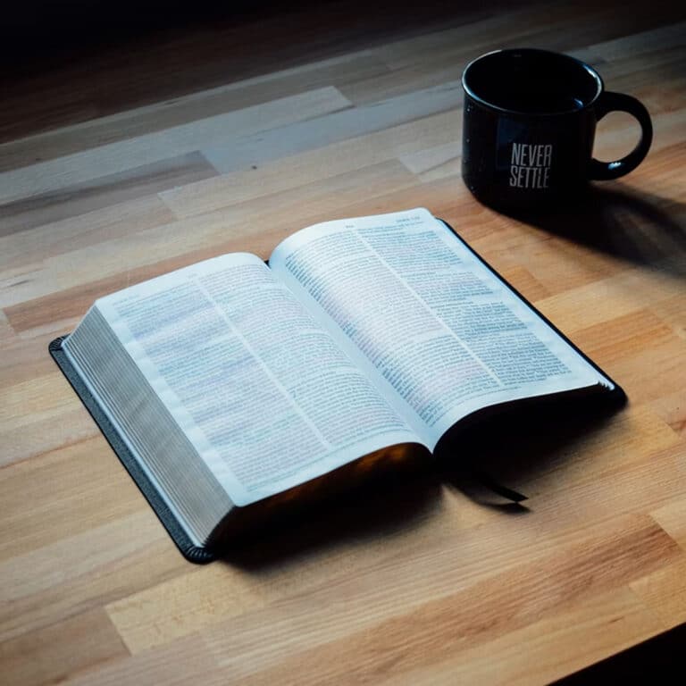 NATIONAL BOOK WEEK - November 23-27, 2026 - National Today