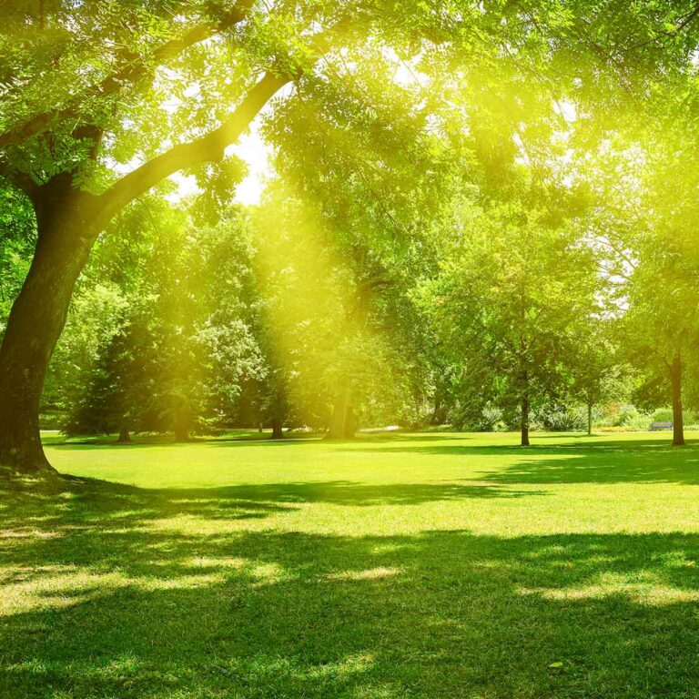 OLD TIME FIDDLERS WEEK - June 21-27, 2026 - National Today