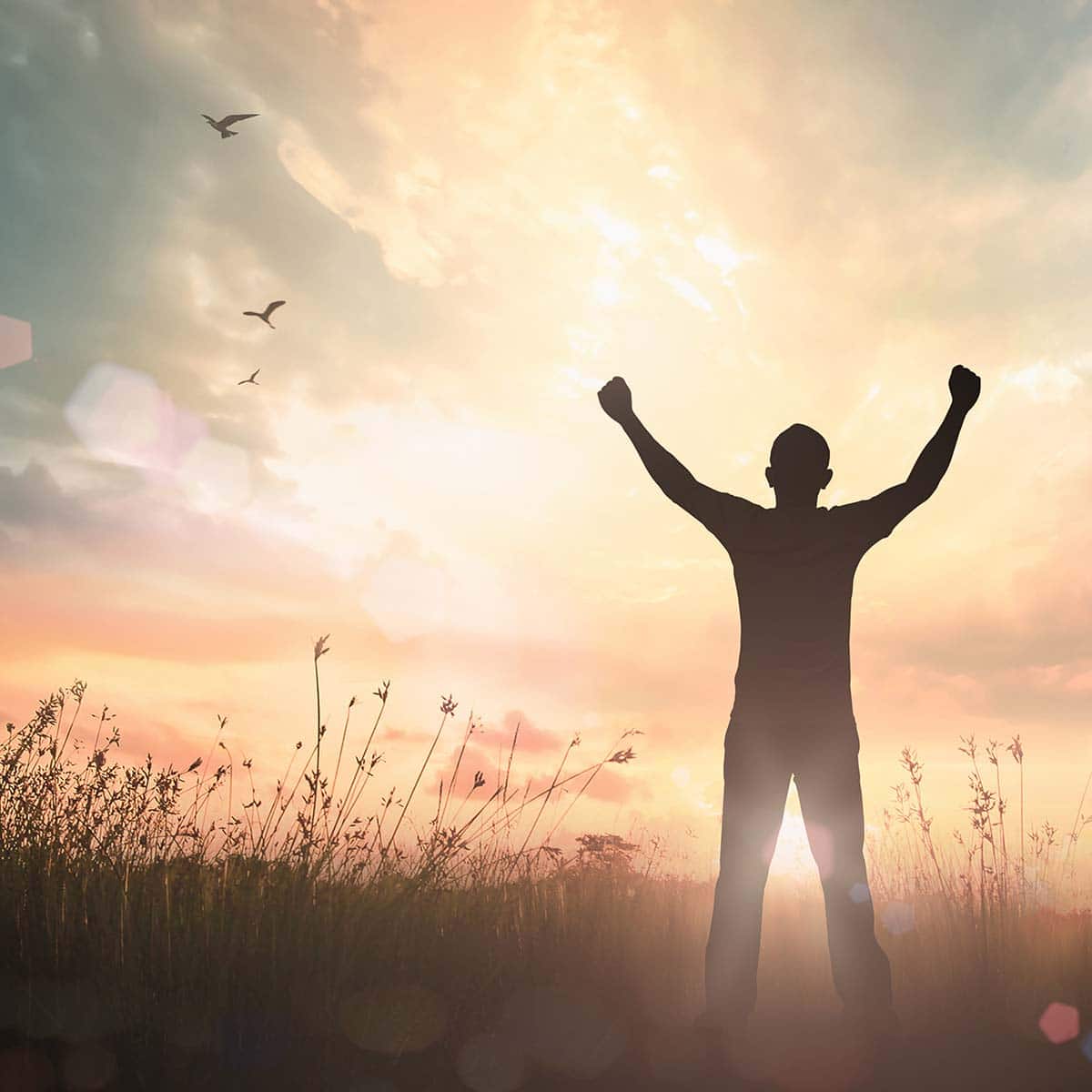 WEAR BROWN SHOES DAY - December 4, 2026 - National Today