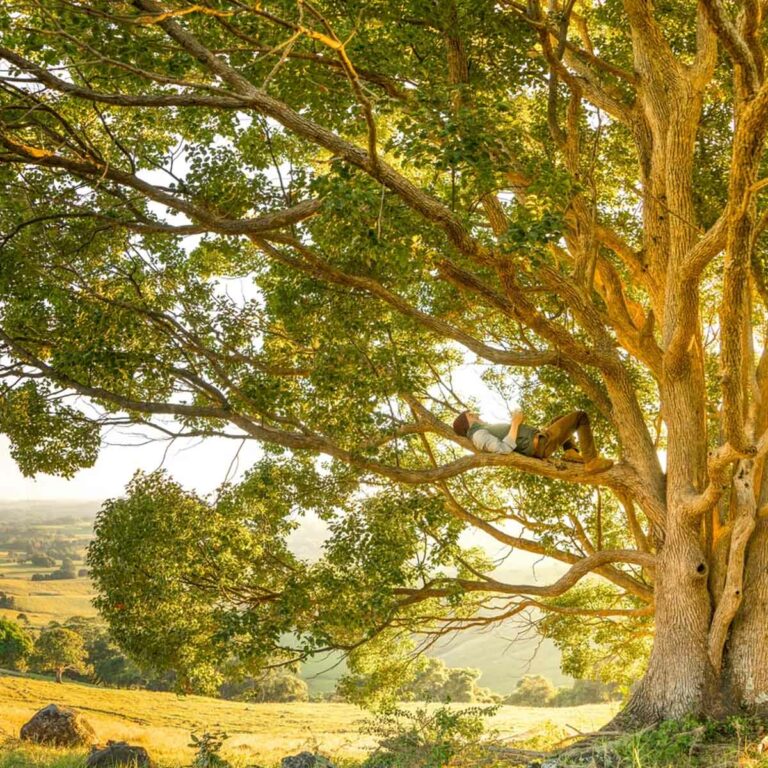 Thanksgiving - Everything you need to know | National Today