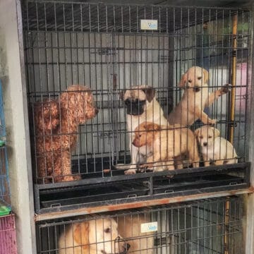 National Rivers Month - National Today