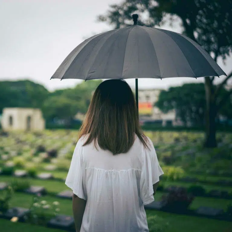 NATIONAL POLLINATOR WEEK - June 23-29, 2025 - National Today