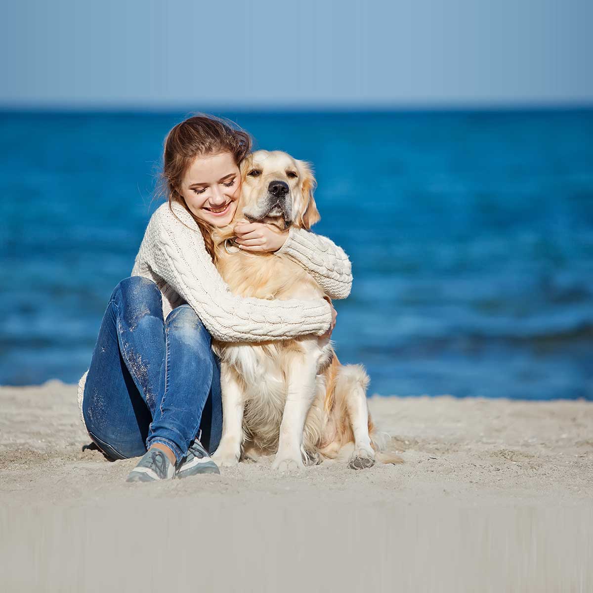 HUMAN ANIMAL RELATIONSHIP AWARENESS WEEK November 13 19 2022