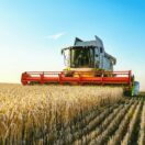 CROP OVER - August 3-9, 2026 - National Today