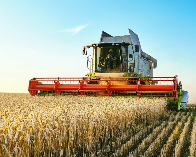 CROP OVER - August 7-14, 2023 - National Today