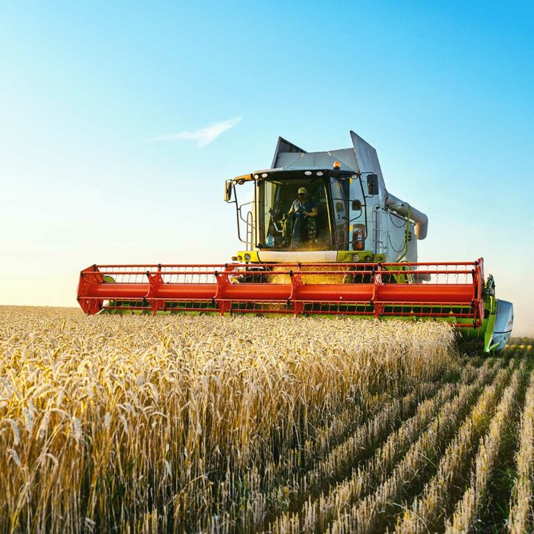 NEW BRUNSWICK DAY - August 4, 2025 - National Today