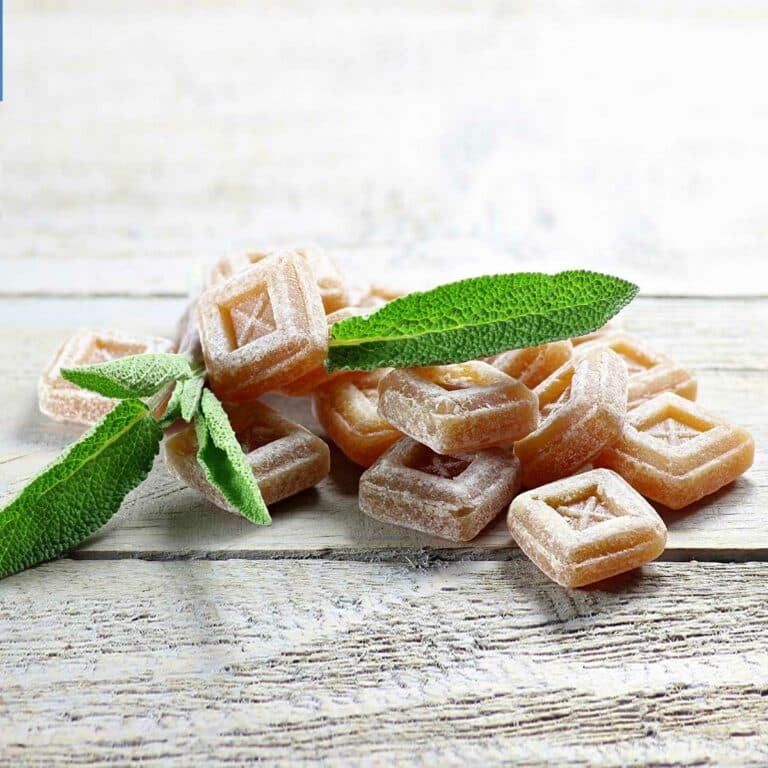 NATIONAL FROG JUMPING DAY - May 13, 2026 - National Today