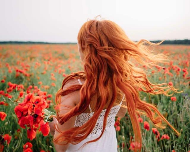 WORLD RED HEAD DAY - May 26, 2023 - National Today