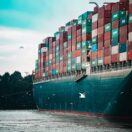 NATIONAL PEACE ROSE DAY - April 29, 2025 - National Today